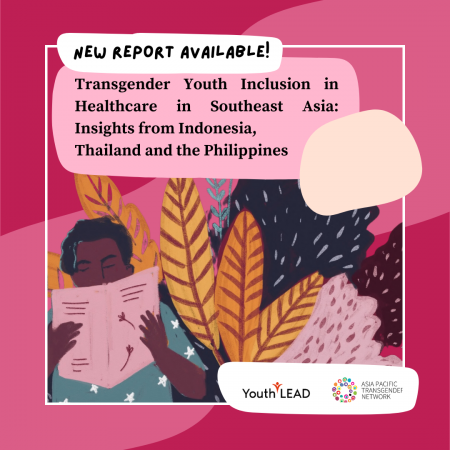 Transgender youth inclusion in healthcare in Southeast Asia: Insights ...